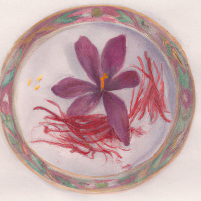 Wild Rue Seeds Sadaf (Esphand, Esfand, Espand) – Kalamala