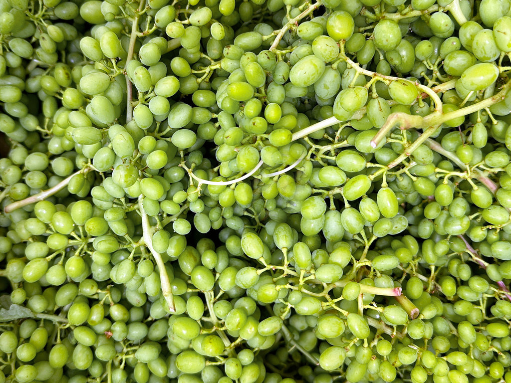 Food & Beverage – Page 2 – Kalamala