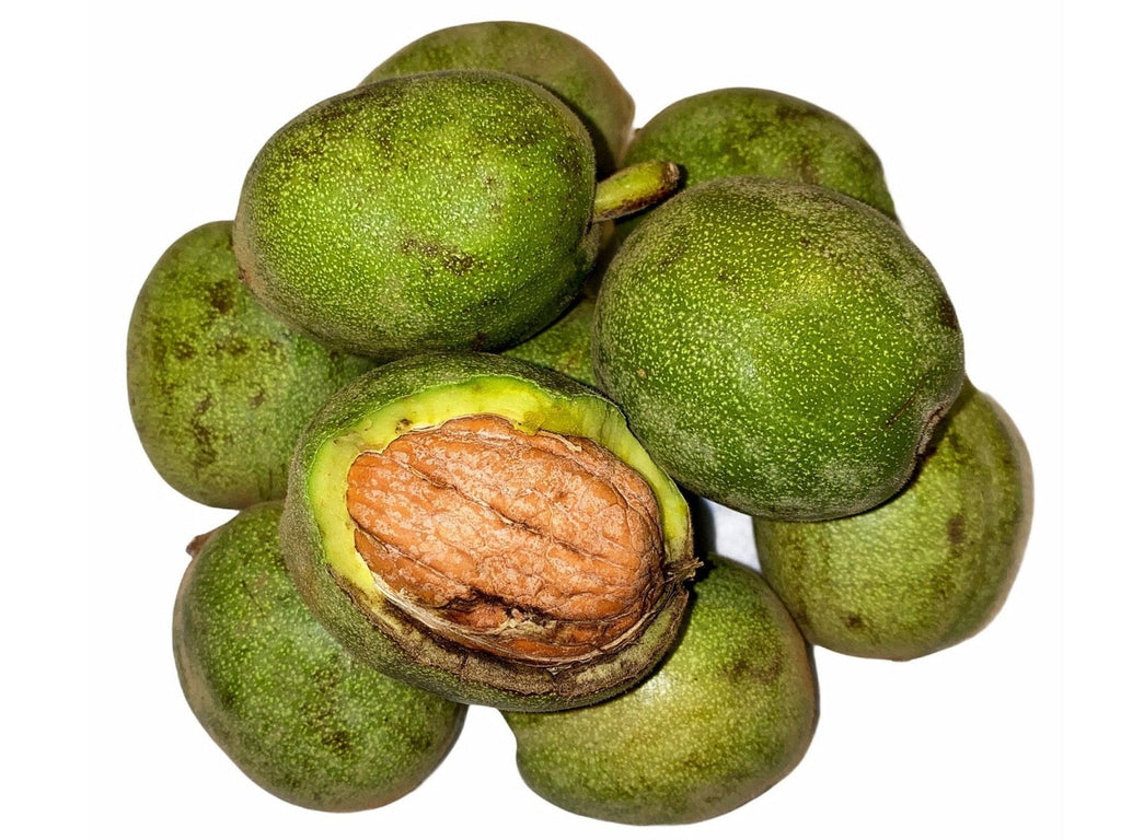 Food & Beverage – Kalamala