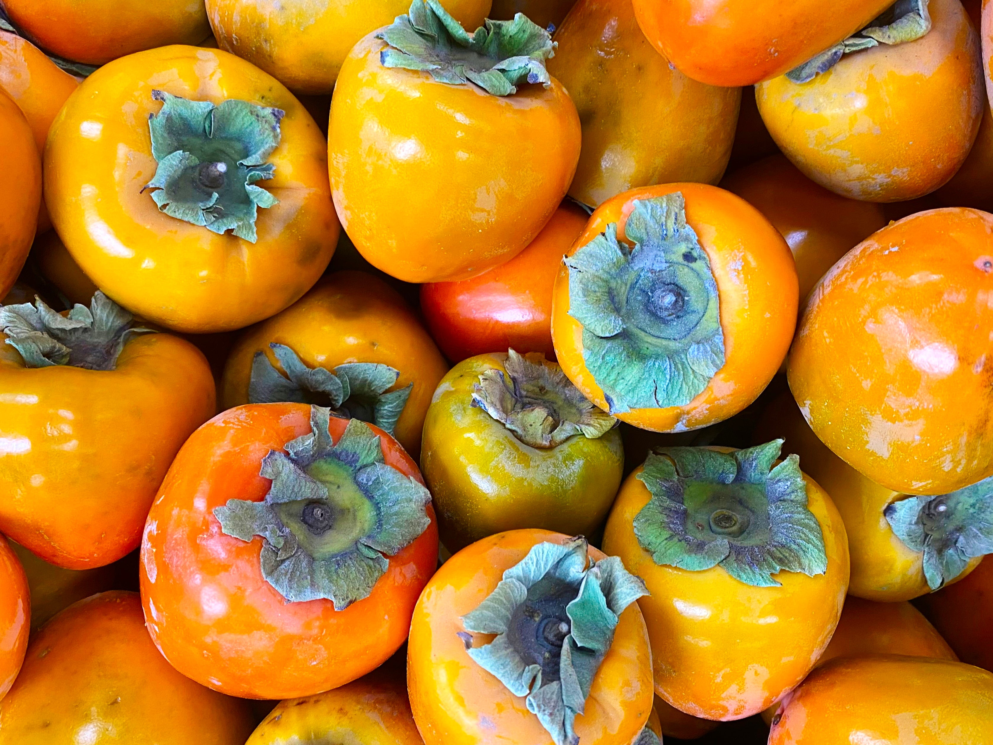 Fresh Hachiva Persimmon - 1 Pound (Khormaloo) – Kalamala