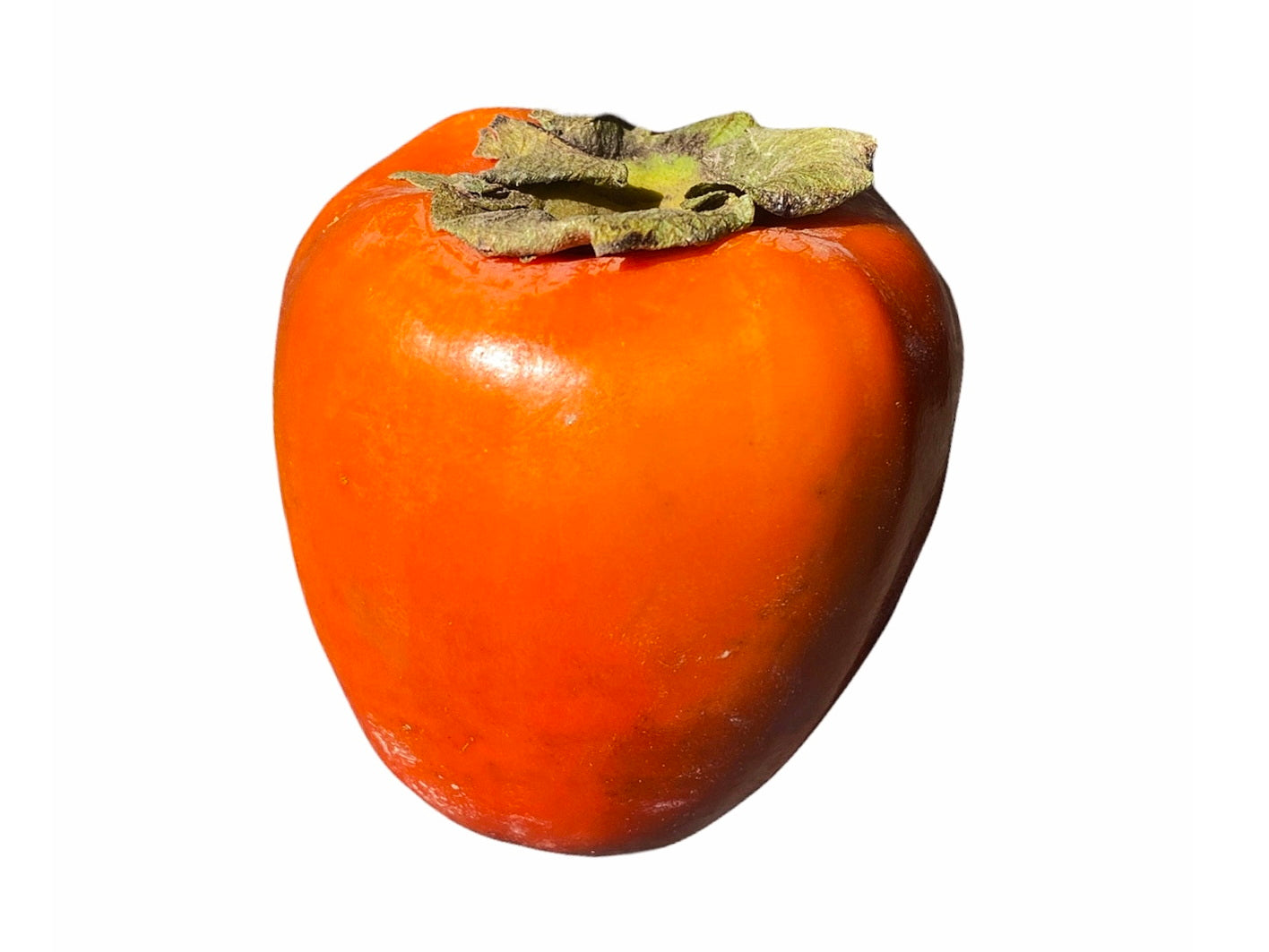 Fresh Hachiva Persimmon - 1 Pound (Khormaloo) – Kalamala