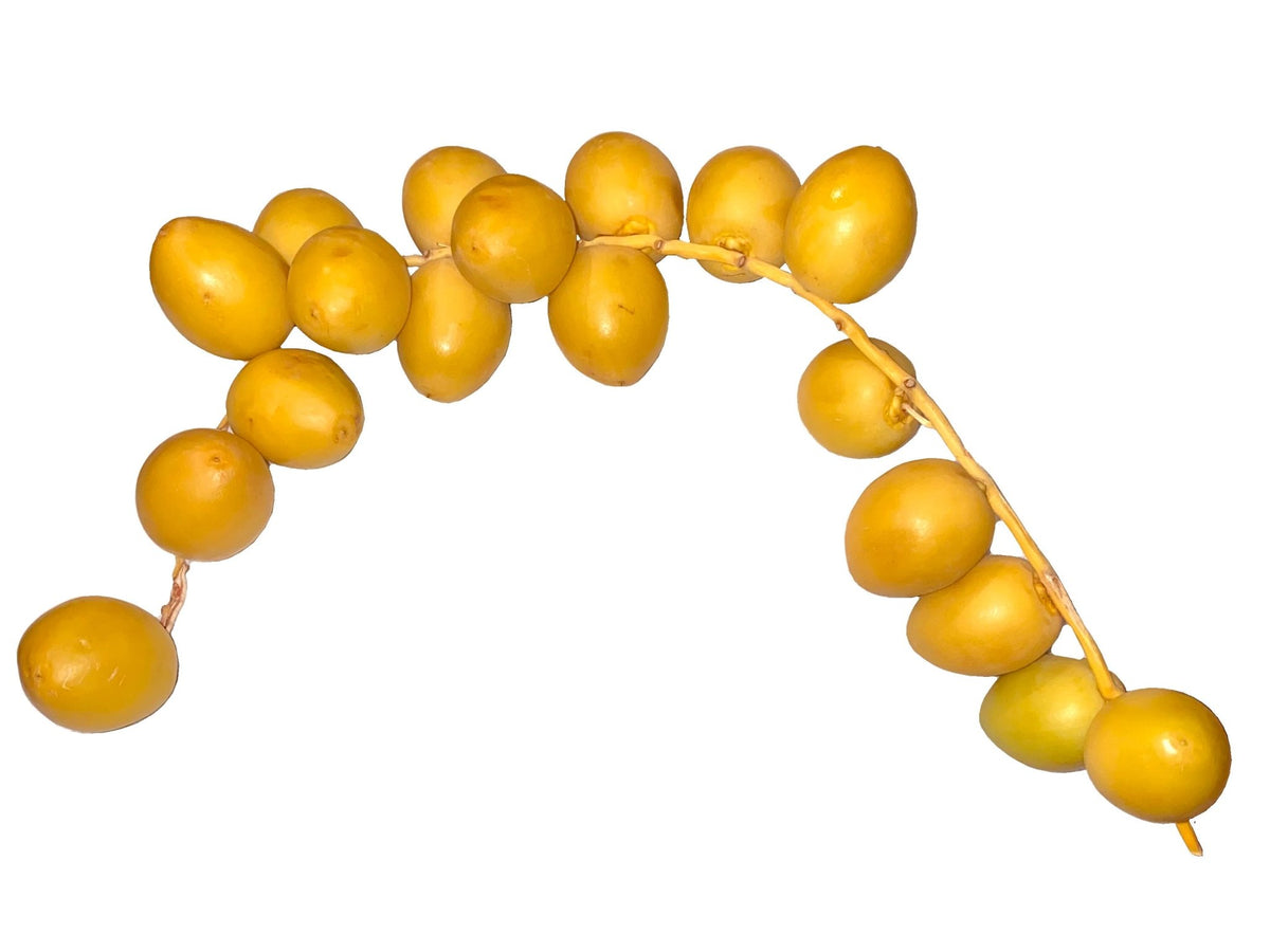 Fresh Yellow Date - Barhi - 1 pound (Barhee, Khorma kharak) – Kalamala